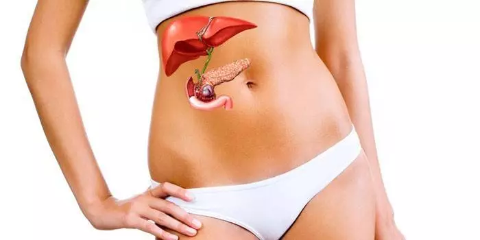 Shematski prikaz jetre i gušterače u tijelu