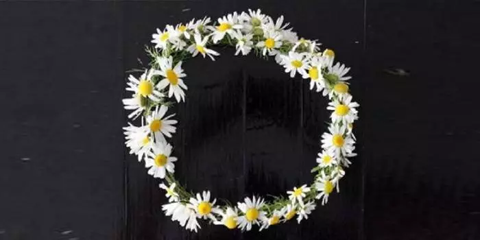 Andam nga hinimo nga chamomile wreath