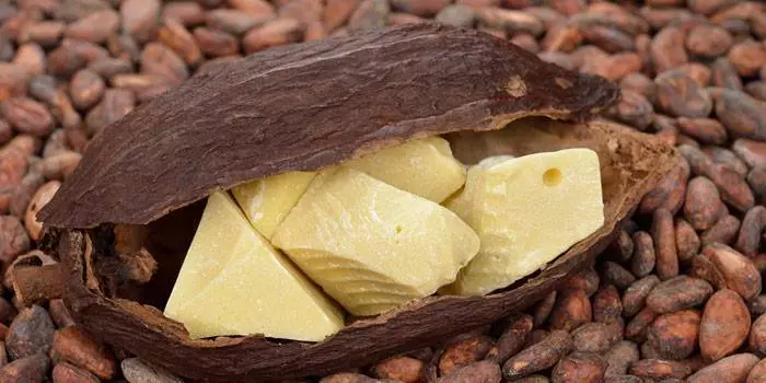 Kakao puter
