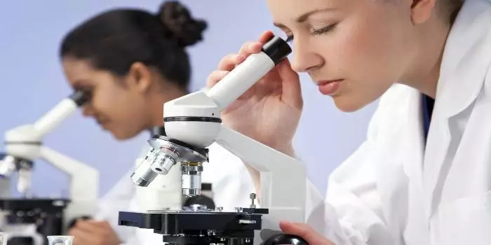 Piger forsker bag mikroskoper