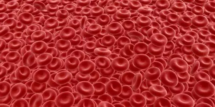 Зголемен број на црвени крвни клетки