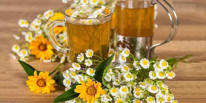Two cups with chamomile decoction