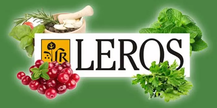 Leros Logo und Komponentenkollektion