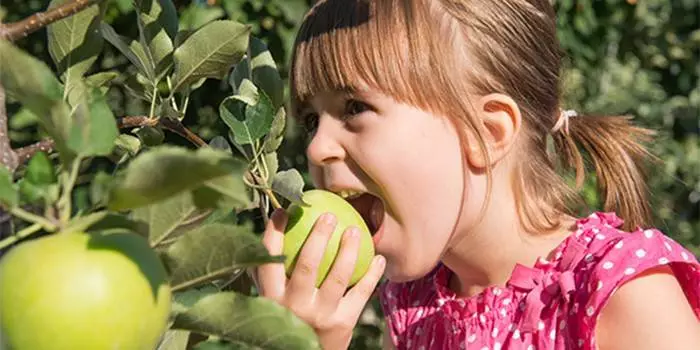 枝からリンゴを食べる女の子