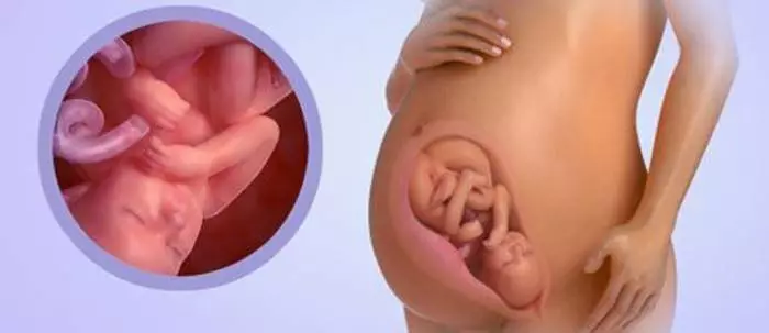 38 weken zwanger: wat gebeurt er met moeder en baby