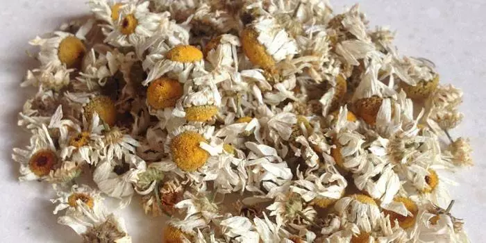 Okooko osisi chamomile