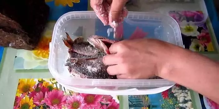 Woman salting fish in a plastic container