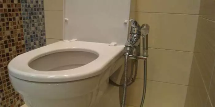 Hygienic shower connected to the toilet