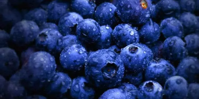 Blueberry