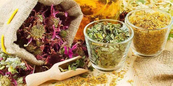 Herbs for prostatitis - the most effective for treatment and prevention, recipes for fees, decoctions and teas