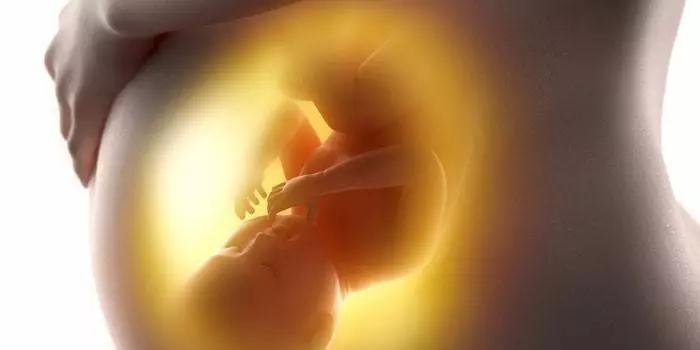 Foetus in de buik van de moeder