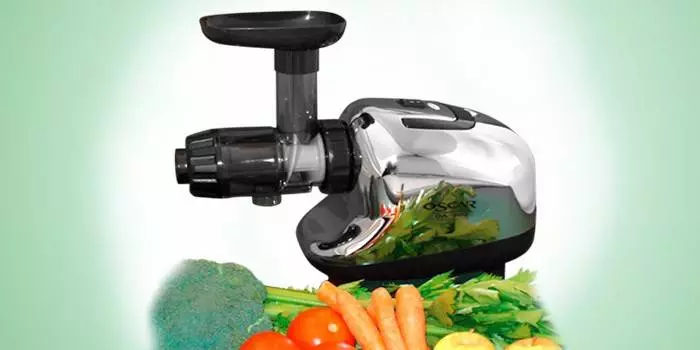 Elektresch Schrauwen Juicer Oscar DA-900