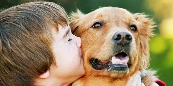 Niño, besar, perro