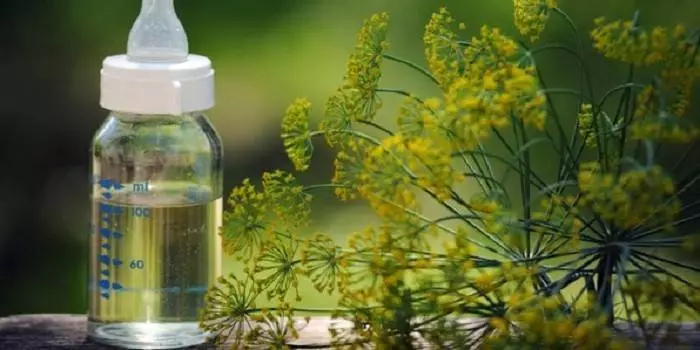 Dillwasser in einer Babyflasche und Dill