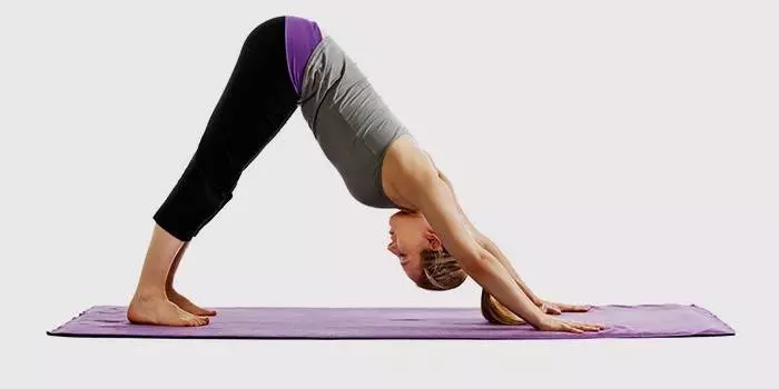 Esercizio di yoga - Cane a faccia in giù
