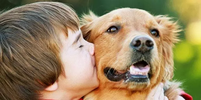 Дитина цілує собаку