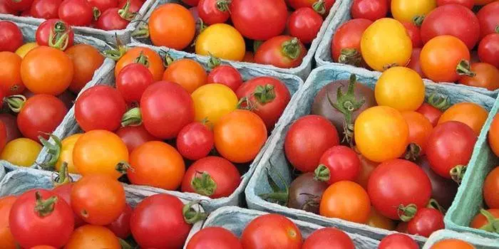 Məhsul yığmaq üçün pomidor