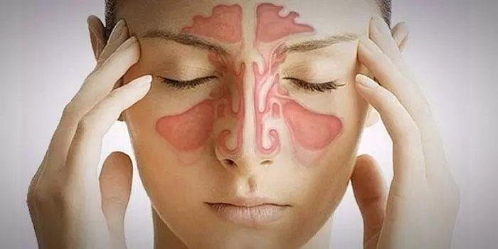 Klinička anatomija i fiziologija nosa