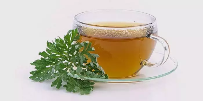 Wormwood decoction կանխելու հայտնվելը ճիճուներ