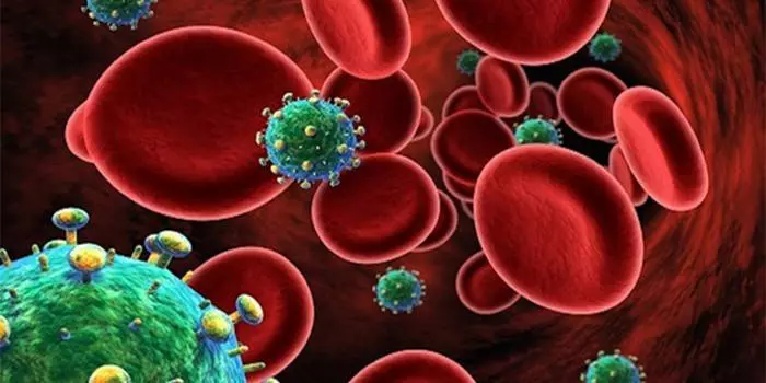 Virus i menneskeblod