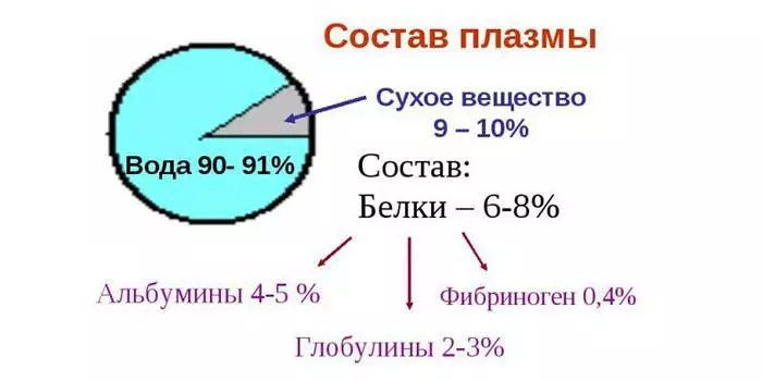 Composizione del plasma sanguigno, schema