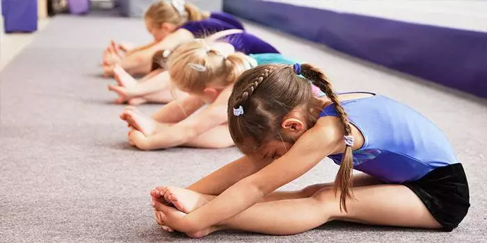 Dekleta, ki se ukvarjajo z gimnastiko