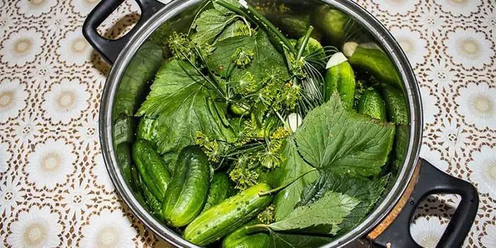 Komkommers, bladeren en kruiden in een pan