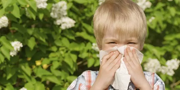 Het kind bedekt zijn neus met een zakdoek