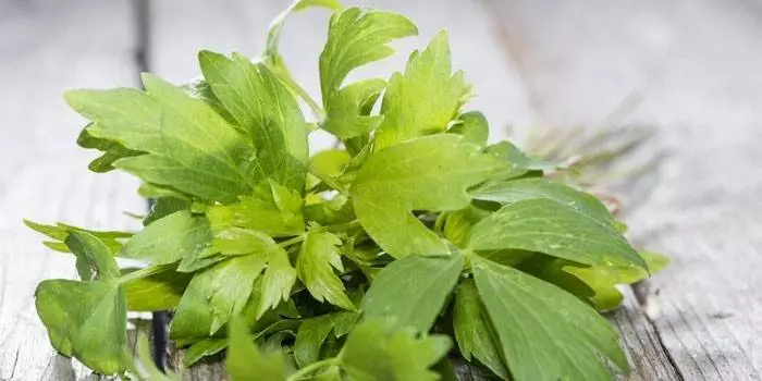 Ụyọkọ nke lovage