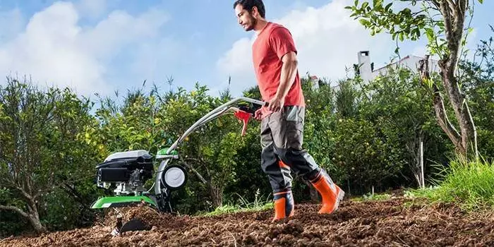 Moški izkopa zelenjavni vrt s traktorjem