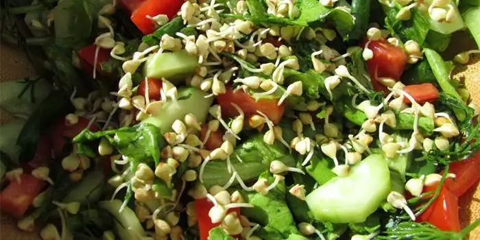 Filizlenmiş yeşil karabuğday salatası