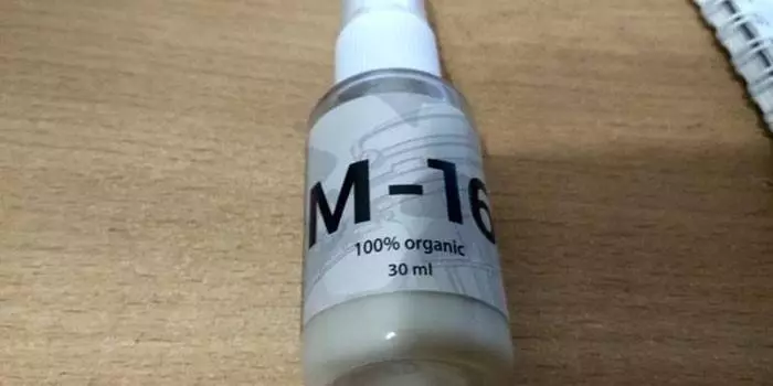 Pregătirea M-16 în spray