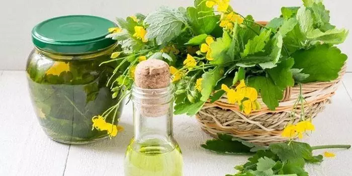 tincture ເຫຼົ້າຂອງ celandine