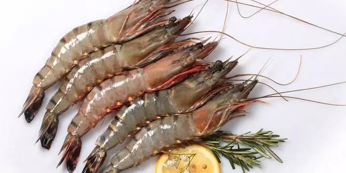 Udang macan