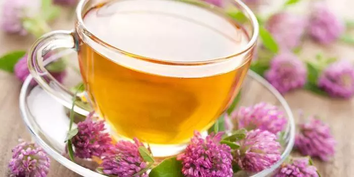 Infusão de flores de trevo em uma xícara