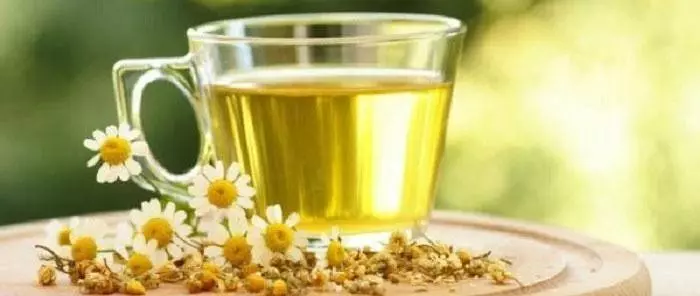 Chamomile for pankreatit wuxuu kordhiyaa hababka dayactirka unugyada