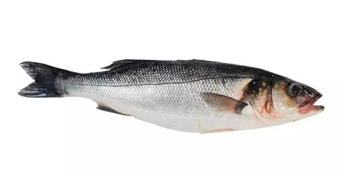 Pesce branzino