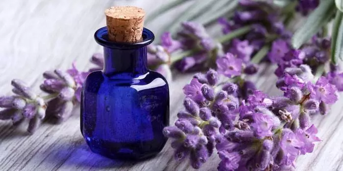 Lavender او بوتل