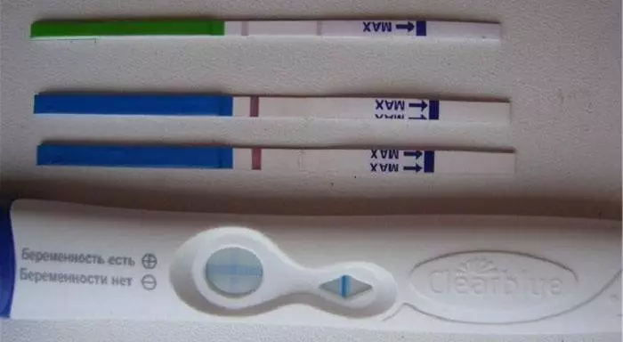 Test nosečnosti
