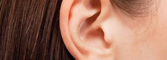 گوش من درد می کند - چه باید بکنم و چگونه آن را درمان کنم 703_2
