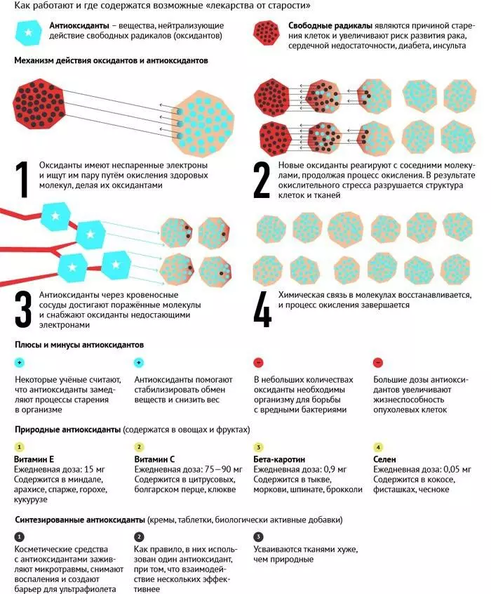 Antioksidantlar nähili işleýär we nireden tapylýar?