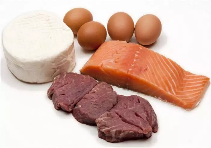 Heyvan mənşəli protein qidaları