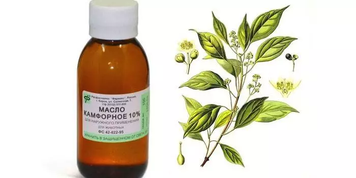 Aceite de alcanfor