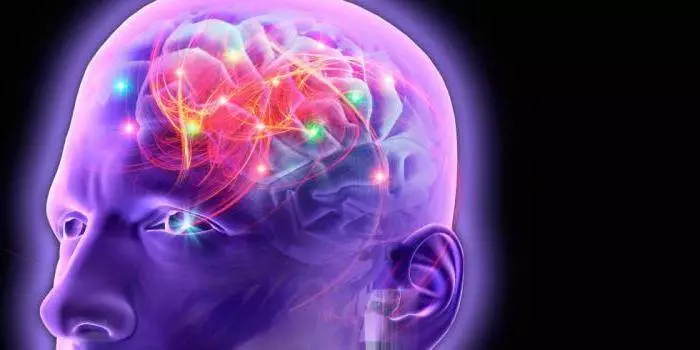 Нейронавыя сувязі ў галаўным мозгу