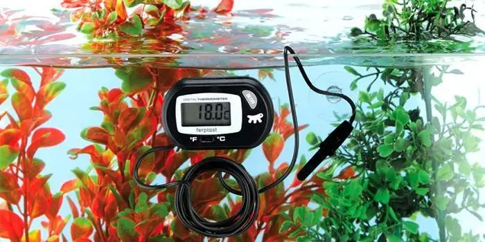 Termometer akuarium dengan sensor luaran