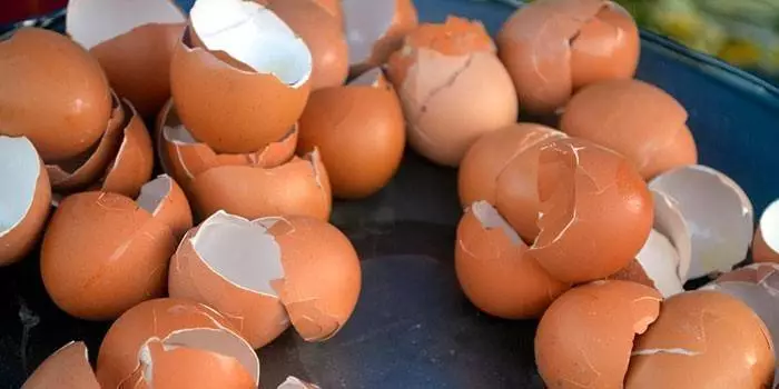 Skořápka z kuřecích vajec