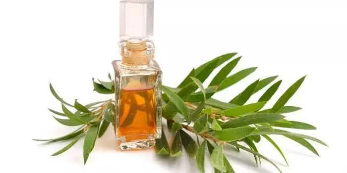 Aceite de árbol de té para hongos en los pies