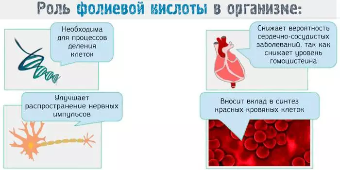 Karolo ea asiti ea folic 'meleng