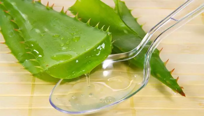 Aloe juice to remove papillomas