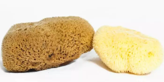 Fane Silk Sponges